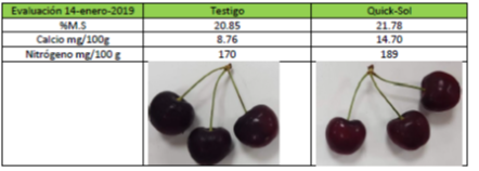 Quick-Sol® El producto clave para fruta de calidad